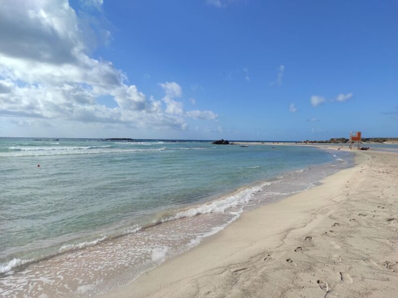Chania Pink Sand Beaches Private Tour: Elafonisi & Falasarna - Final Thoughts