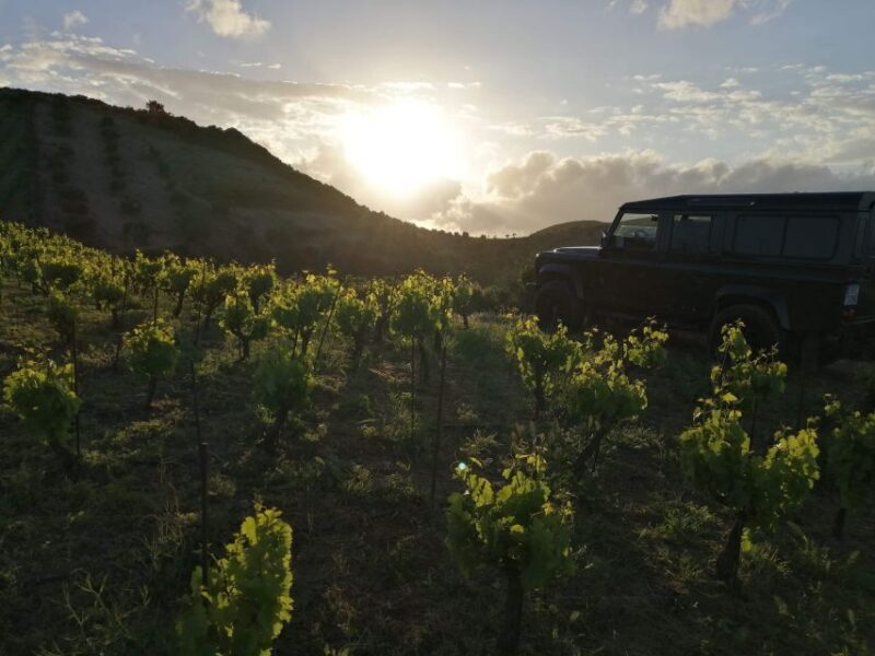 Chania Premium Sunset Safari Tour - Final Thoughts: Is This Tour for You?