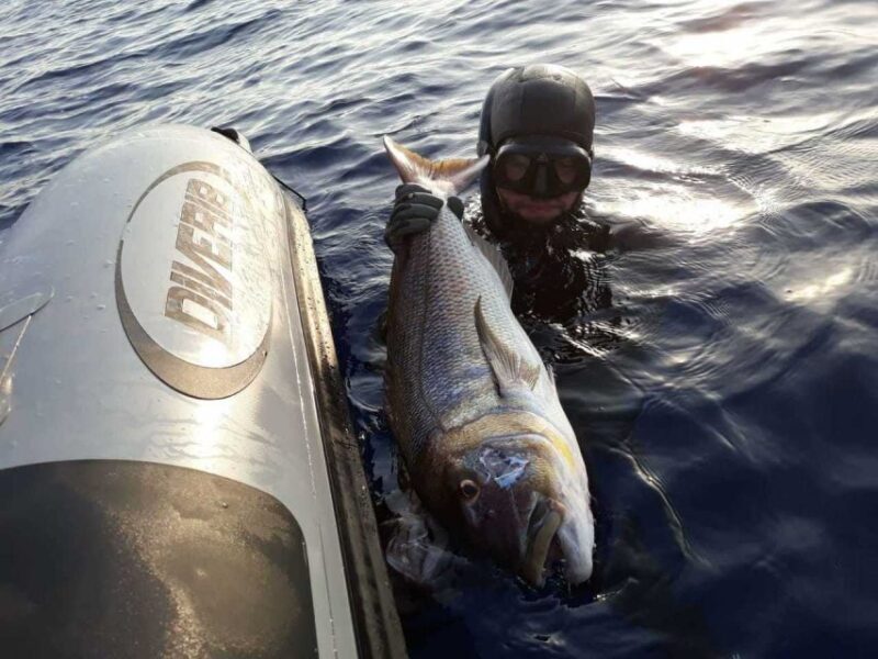 Chania: Private Boat Fishing Trip - Concluding Thoughts: Is It Worth It?