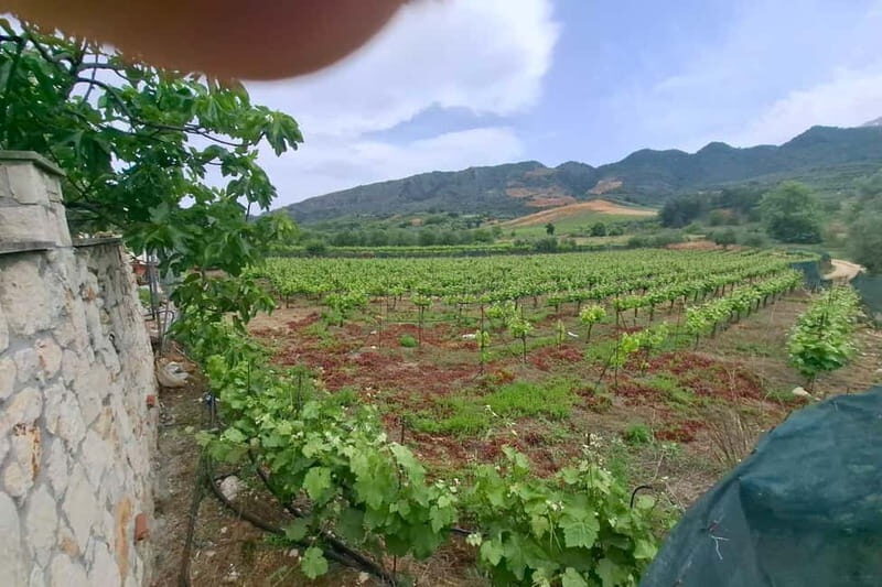 Chania: Private Tour to Therisso Gorge Village &Local Winery - FAQ