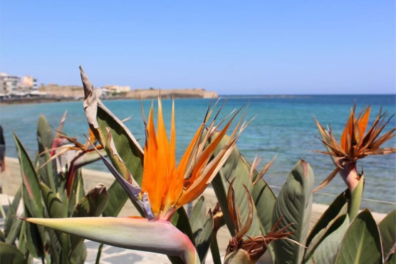 Chania: Private Walking Tour: History, Sights, Food & Senses - Key Points