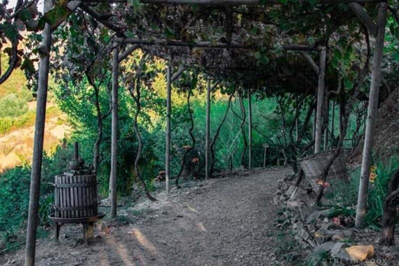 Chania Safari & Botanical Garden  Nature & Aromas Tour - Final Thoughts