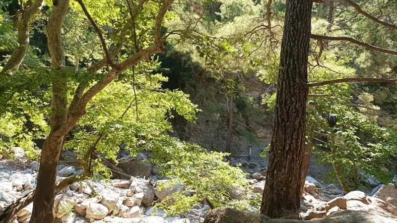 Chania: Samaria Gorge Private Transfer - Discovering Crete’s Natural Wonder: An In-Depth Review