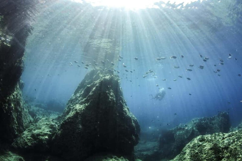 Chania: Scuba Diving and Snorkeling for Beginners by Boat - What Its Like to Participate