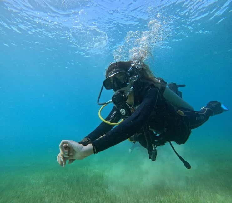 Chania :Scuba Diving for Beginners-Boat Dive - How Good Is the Value?