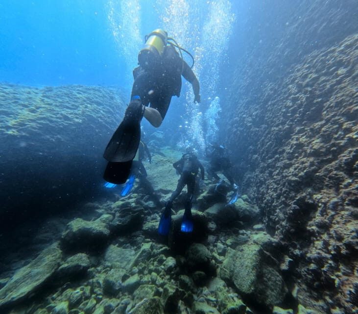 Chania Scuba Diving | Fun Dives | Certified Divers - Who Would Love This Tour?