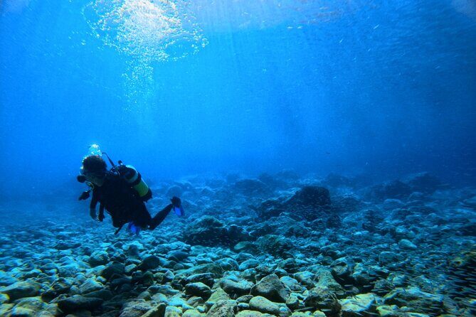 Chania Scuba Diving | Fun Dives | Certified Divers - An Introduction to the Chania Scuba Diving Tour