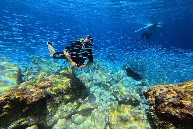 Chania Scuba Diving | Fun Dives | Certified Divers - Authentic Marine Encounters That Stick With You