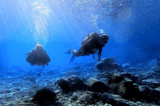 Chania Scuba Diving | Fun Dives | Certified Divers - The Sum Up