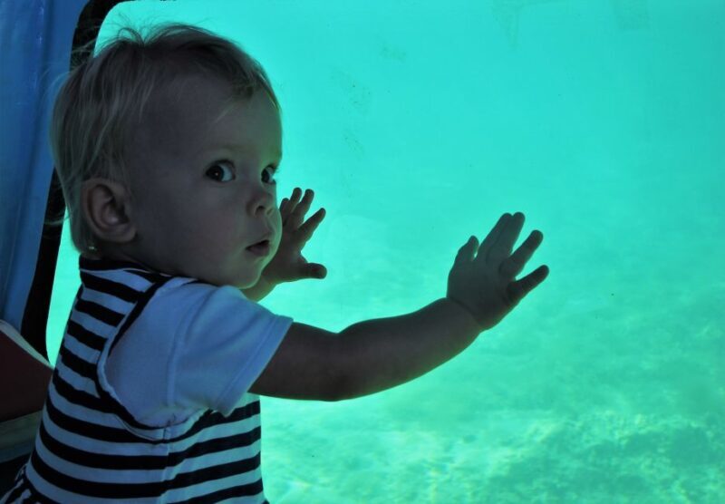 Chania: Semi-Submarine Boat Underwater Experience - Chania: Semi-Submarine Boat Underwater Experience — An Honest Review
