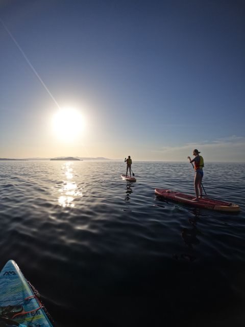 Chania: Stand-up Paddleboard Coastal Sunset Experience - A Deep Dive into the SUP Sunset Experience