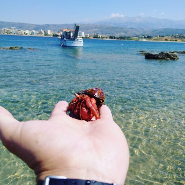 Chania Town: Glass-Bottom Boat Cruise to Thodorou & Lazareta - What Exactly Is This Tour?