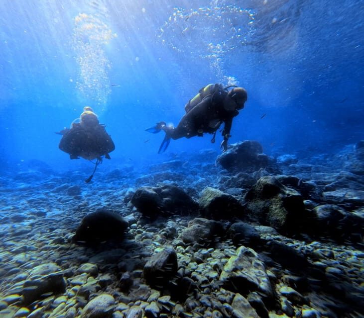 Chania | Try Scuba Diving | Private Introduction Dive - What You Can Expect: From Surface to Underwater Wonder
