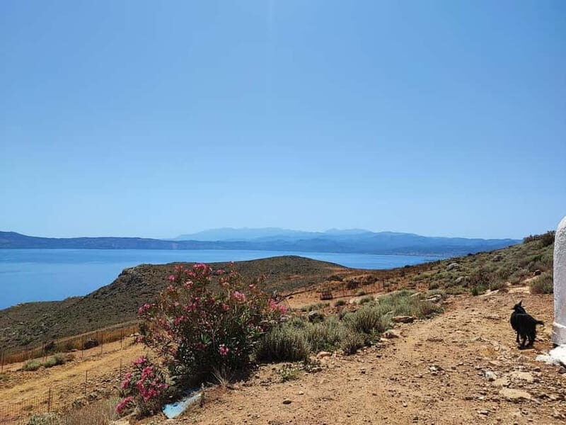 Chania:Balos&Falassarna Private Jeep Safari + Lunch&Loungers - Final Thoughts: Who Should Consider This Tour?
