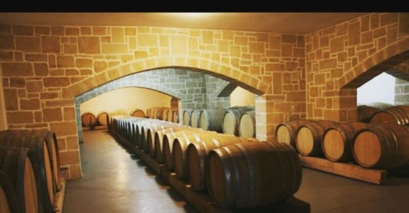 Chania:Olive and Wine 3-hour Trip - Final Thought