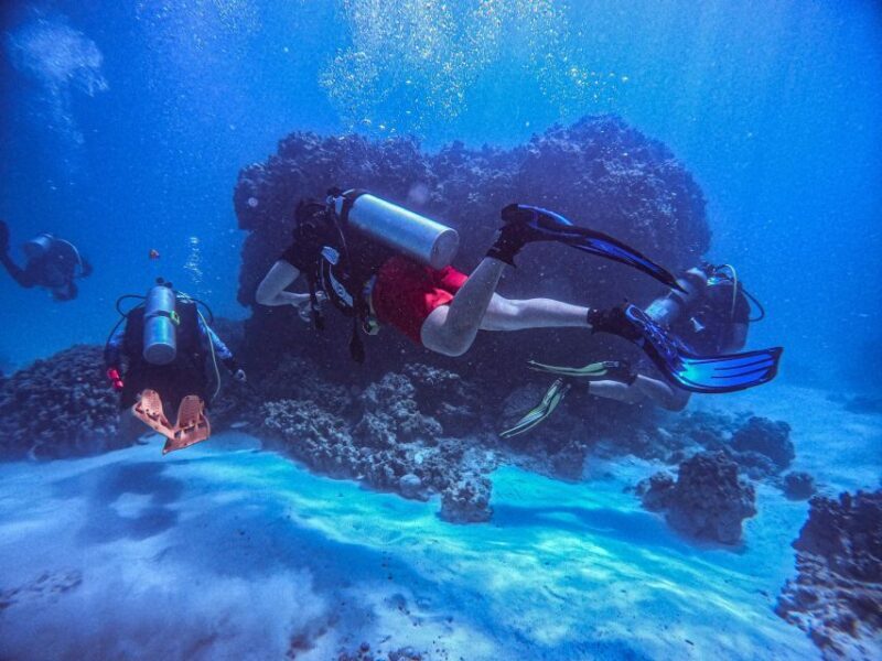 Chania:Try Scuba Diving 2shore dives(Receive Certification) - Key Points