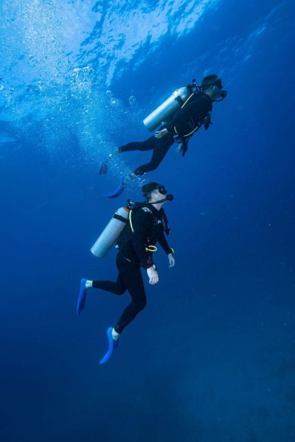 Chania:Try Scuba Diving 2shore dives(Receive Certification) - An Honest Look at the Experience