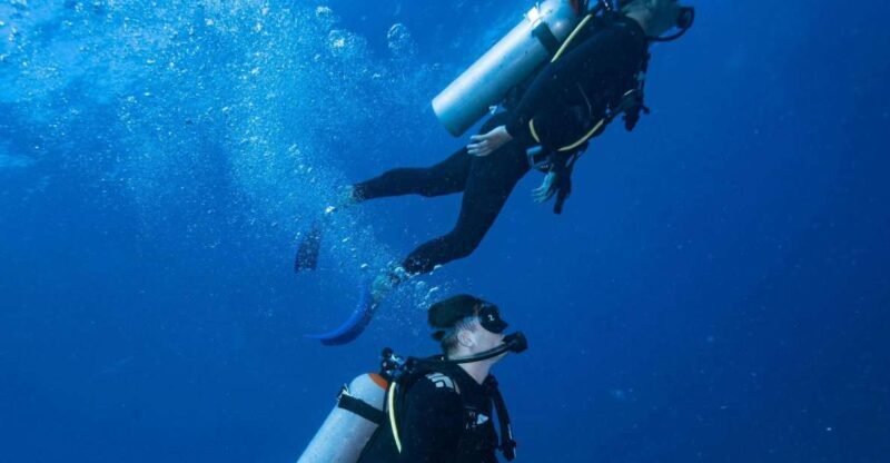 Chania:Try Scuba Diving 2shore dives(Receive Certification) - Who Should Consider This Tour?