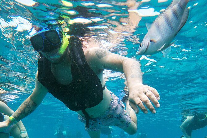 Chankanaab Park Admission + Welcome drink + Snorkeling - Who Is This Tour Best Suited For?