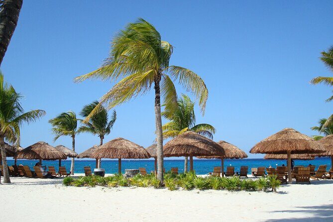 Chankanaab Park and Island Tour by Buggy with Mexican Lunch - What the Tour Includes and What to Expect