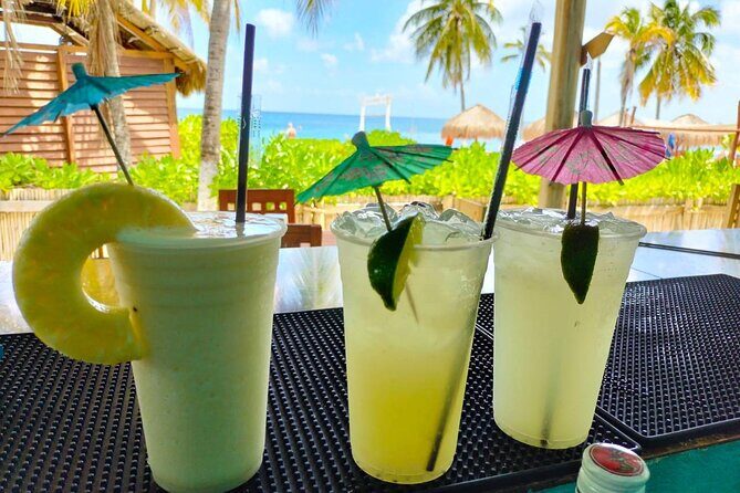 Chankanaab Park and Island Tour by Buggy with Mexican Lunch - The Sum Up