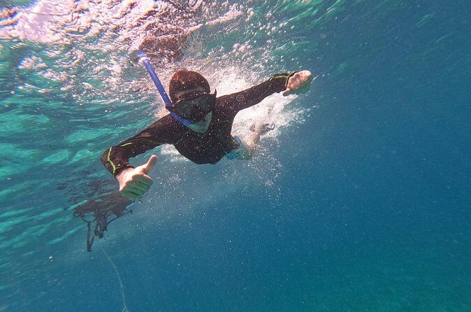 Chankanaab Park entrance ticket with snorkeling and buffet included - Discovering Chankanaab Park: An Overview