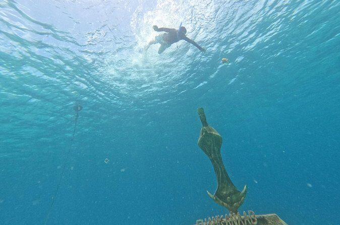 Chankanaab Park entrance ticket with snorkeling and buffet included - FAQ: Your Practical Questions Answered