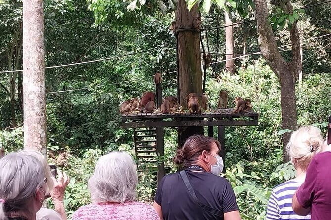 Chanteek Borneo Indigenous Museum - Who Will Love This Tour?