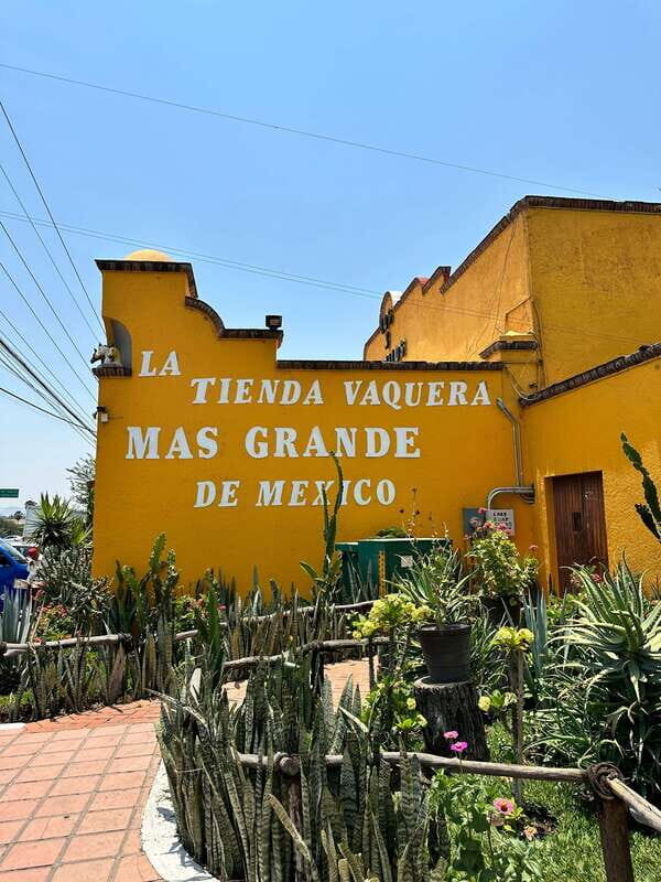 Chapala and Ajijic Tour from Guadalajara with 3 Potrillos - Practical Considerations