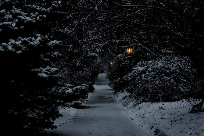 Chapel Hill True Crime Walking Tour - FAQ