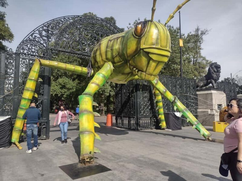 Chapultepec Castle Guided Tour - An Introduction to the Experience