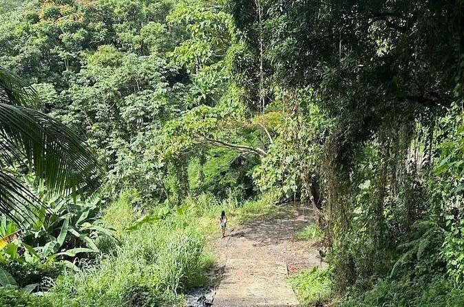 Charco el Hippie Tour - Authenticity and Practicalities