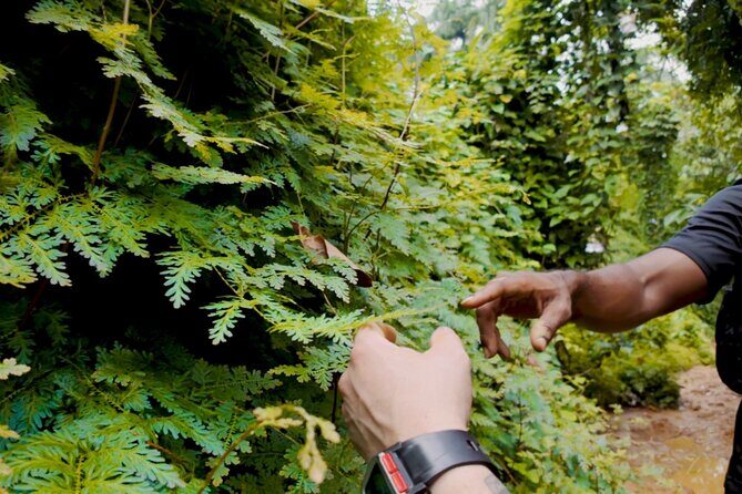 Charco Frío y Las Tinajas Experience with Provista Tours - Exploring Charco Frío y Las Tinajas: What You Can Expect