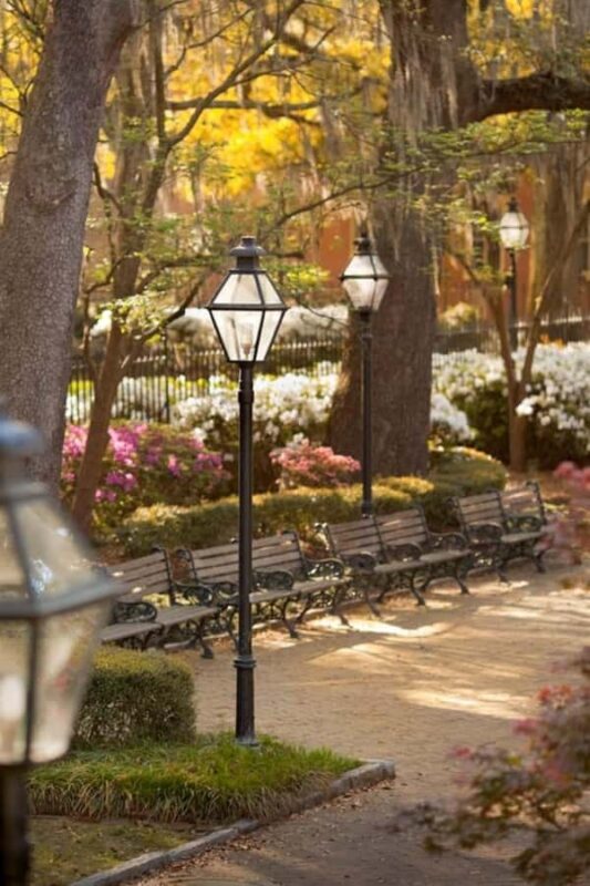 Charleston : Best Street Food Tour With A Local Guide - An In-Depth Look at the Tour