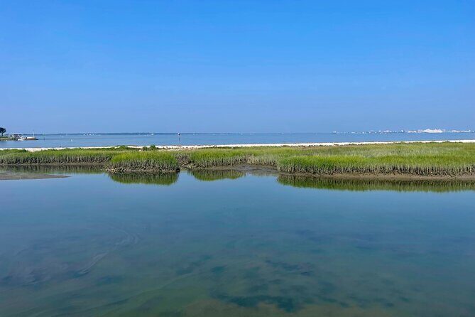 Charleston Bird Watching Tour - FAQ