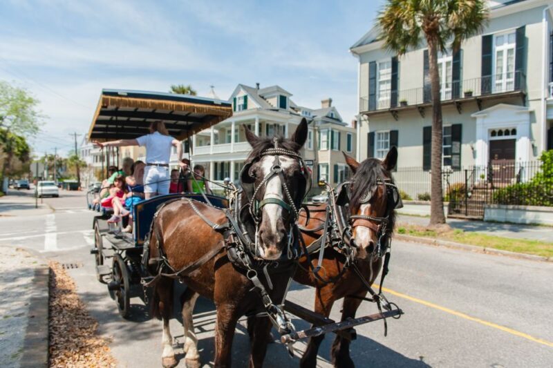 Charleston: Downtown Horse-Drawn Carriage Tour - Key Points