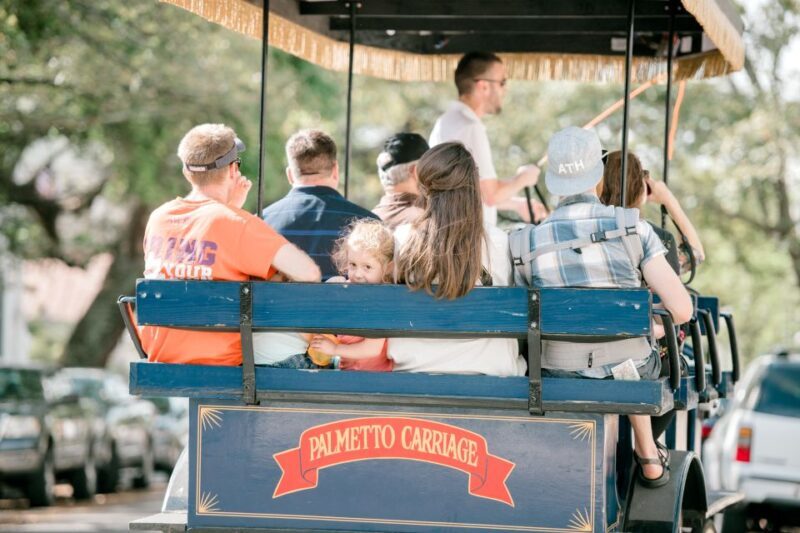 Charleston: Downtown Horse-Drawn Carriage Tour - A Detailed Look at the Experience