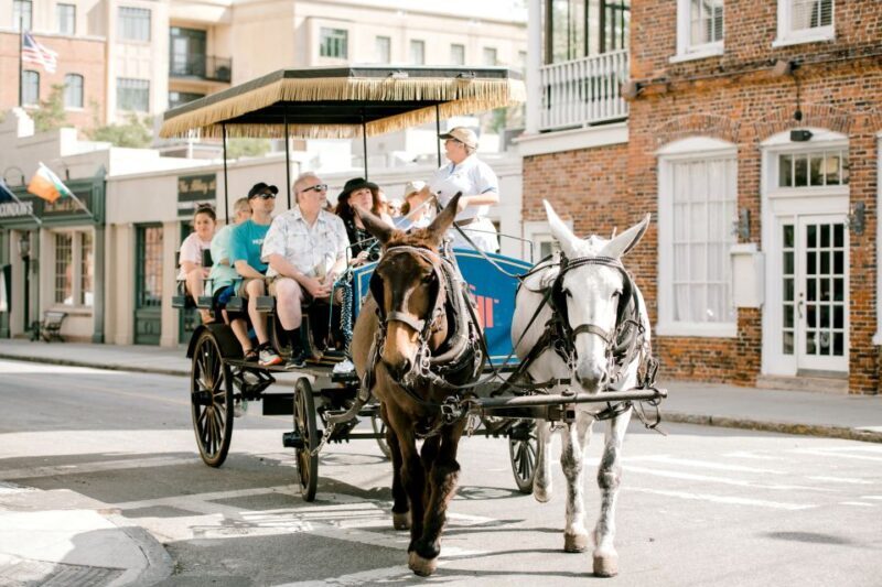 Charleston: Downtown Horse-Drawn Carriage Tour - Who Should Do This Tour