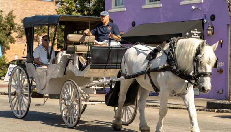 Charleston: Evening Carriage Tour - Why This Tour Offers Good Value