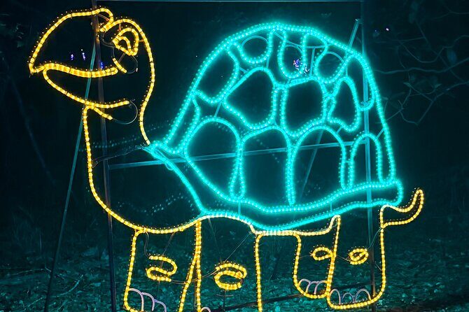 Charleston Festival of Lights with Small Group Transportation - Authentic Experiences and Genuine Praise from Travelers