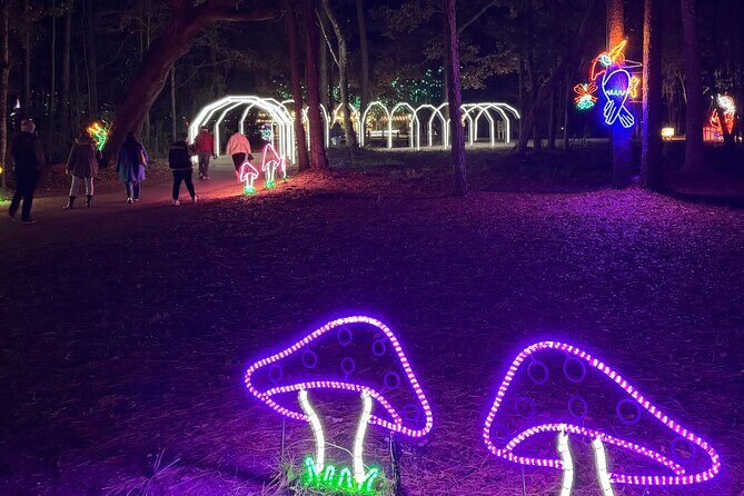 Charleston Festival of Lights with Small Group Transportation - The Practicalities: Transportation, Duration, and Value