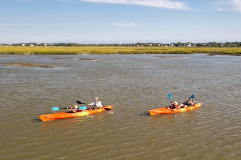 Charleston: Folly Beach Afternoon Kayak Dolphin Safari - An In-Depth Look at the Kayak Safari Experience