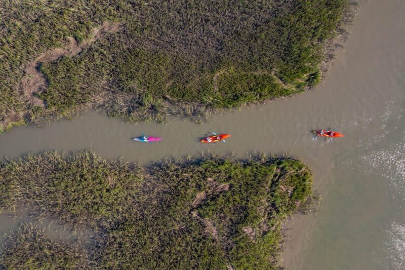 Charleston: Folly Beach Kayak Dolphin Safari - Practical Details & Tips