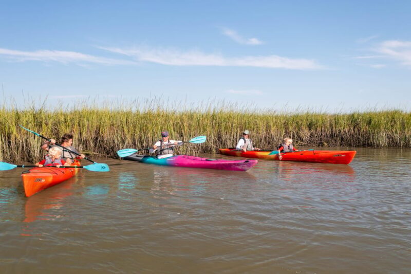 Charleston: Folly Beach Kayak Dolphin Safari - Why We Think Youll Love It