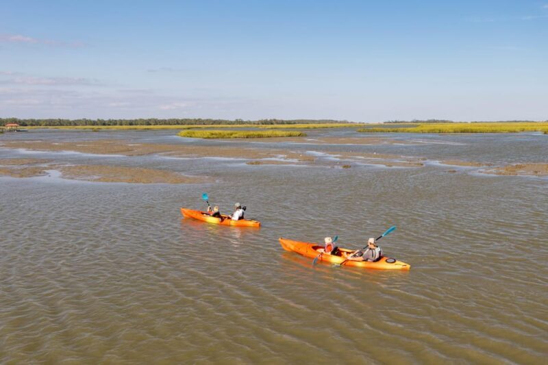 Charleston: Folly Beach Kayak Dolphin Safari - Who Should Consider This Tour?
