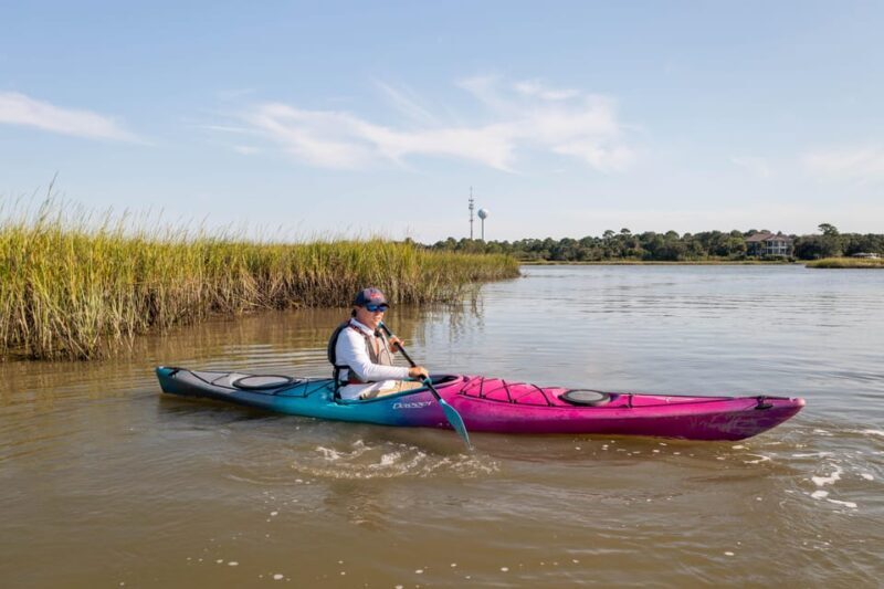 Charleston: Folly Beach Kayak Dolphin Safari - The Sum Up