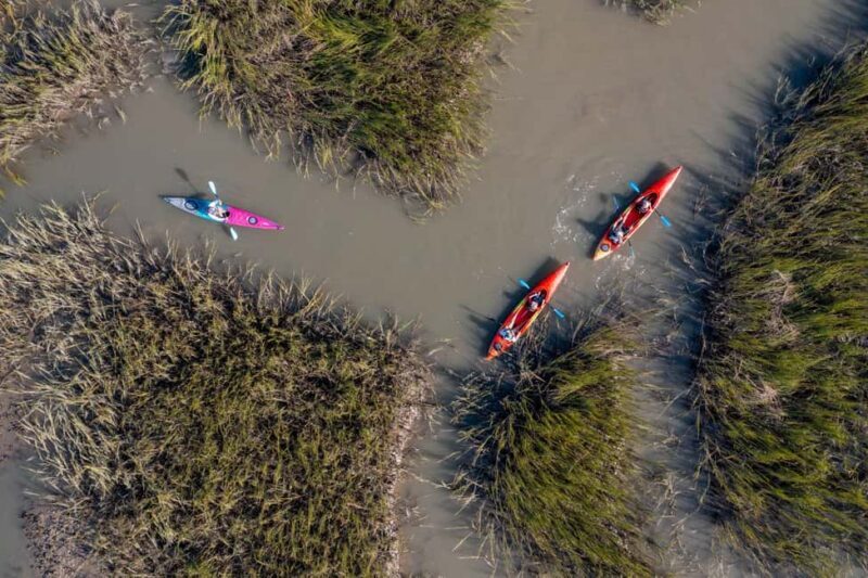 Charleston: Folly Beach Morning Kayak Dolphin Safari - Key Points