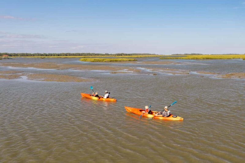 Charleston: Folly Beach Morning Kayak Dolphin Safari - Practical Tips for Travelers