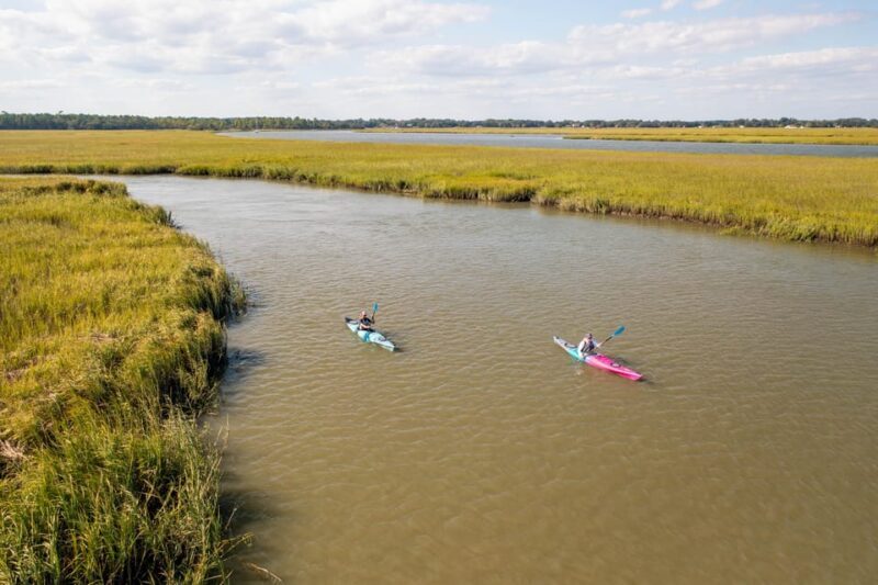 Charleston: Folly Beach Morning Kayak Dolphin Safari - The Sum Up