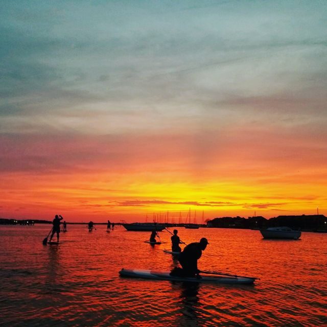 Charleston: Folly Beach Stand Up Paddleboard Dolphin Safari - Introduction: Setting the Scene for Your Paddleboard Adventure